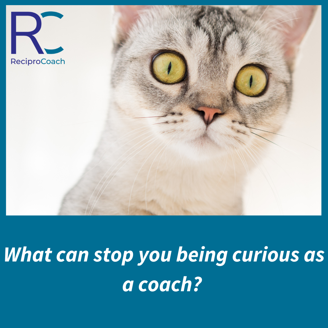 What can stop you being curious as a coach? – ReciproCoach