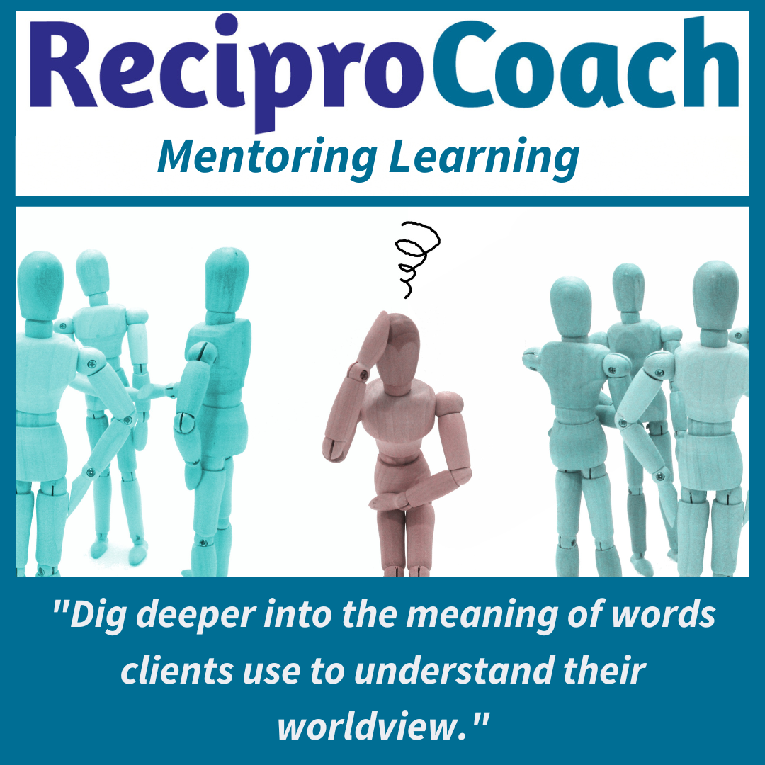 Understand your client’s worldview – ReciproCoach